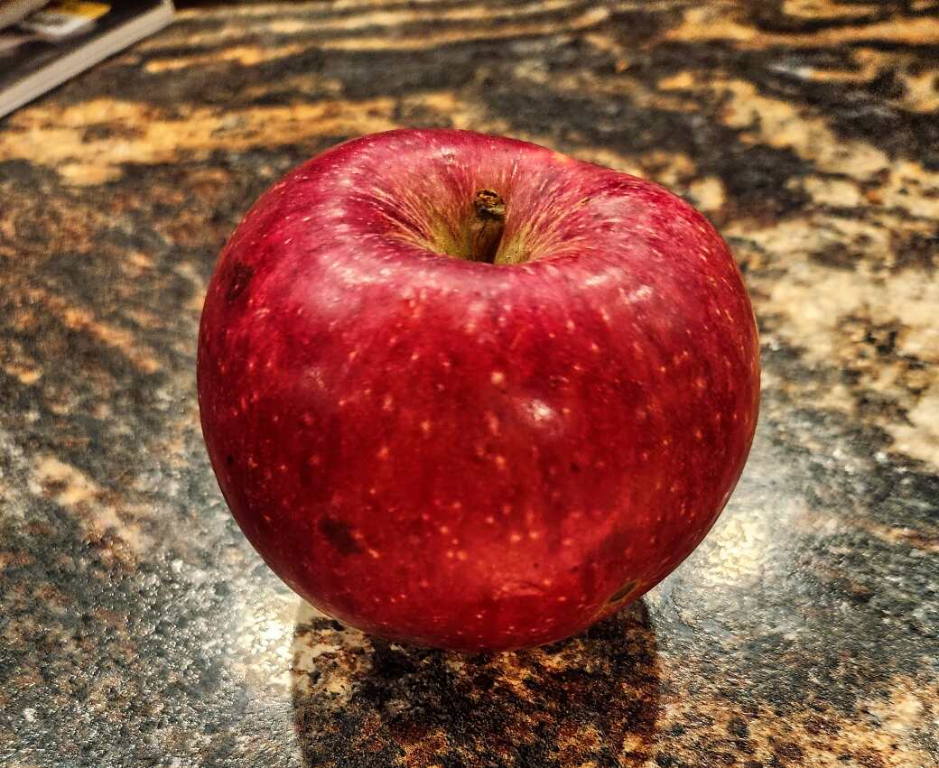 Heirloom Apples of Seed Savers Exchange - Grumpy Pants Plants