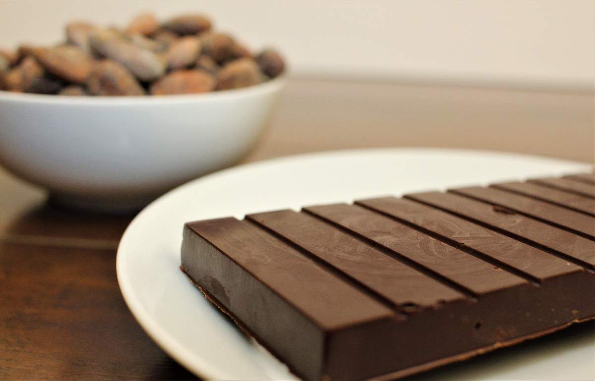 How to Make Bean to Bar Chocolate - Grumpy Pants Plants
