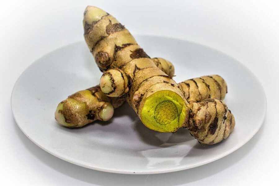 How to Distinguish Among Edible Turmeric Varieties - Grumpy Pants Plants